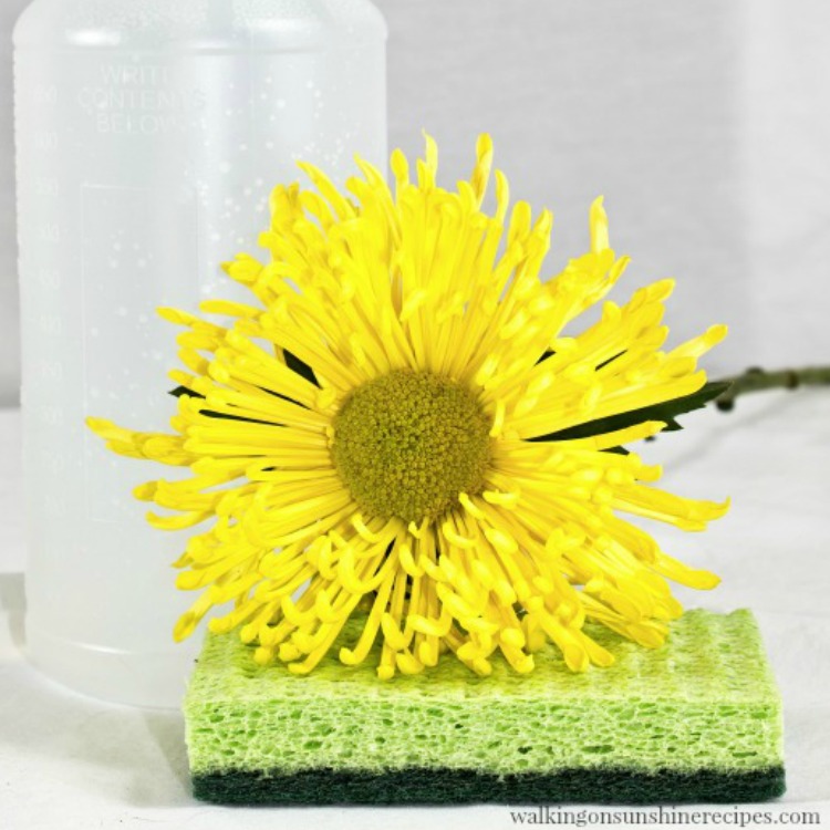 How to Make an All Purpose Homemade Household Cleaner