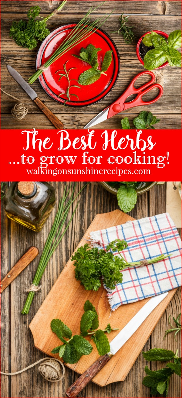 How to use Fresh Herbs in Cooking