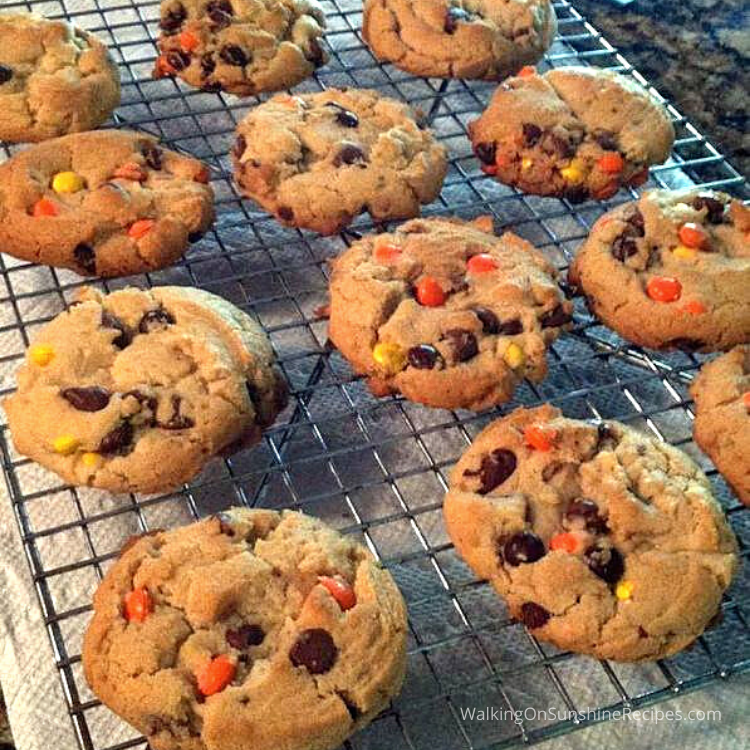 Halloween Cookies s | Walking on Sunshine Recipes