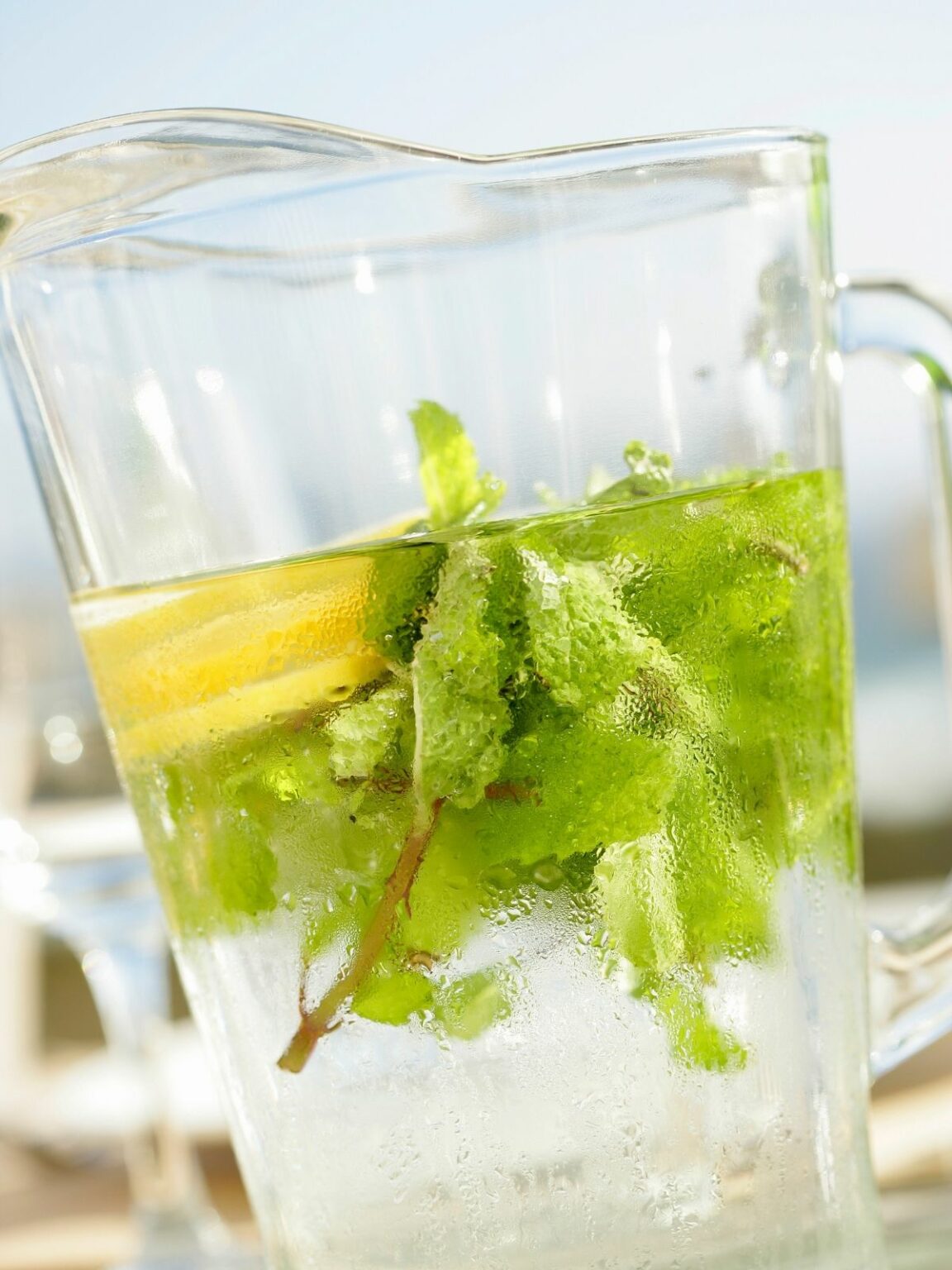Lemon Basil Mint Spritzer | Walking on Sunshine Recipes