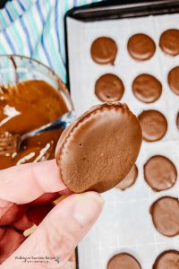 Semi-Homemade Thin Mint Cookies Recipe - Walking on Sunshine