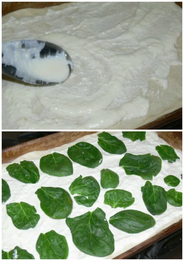 Tuscan Roma Pizza with Homemade Garlic Sauce | Walking on Sunshine