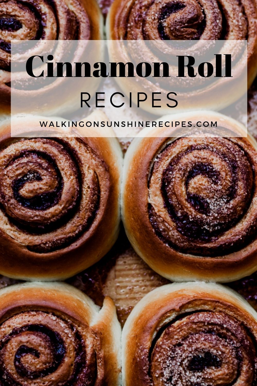 Best Cinnamon Roll Recipes | Walking On Sunshine Recipes Best Cinnamon Roll Recipes | Walking On Sunshine Recipes
