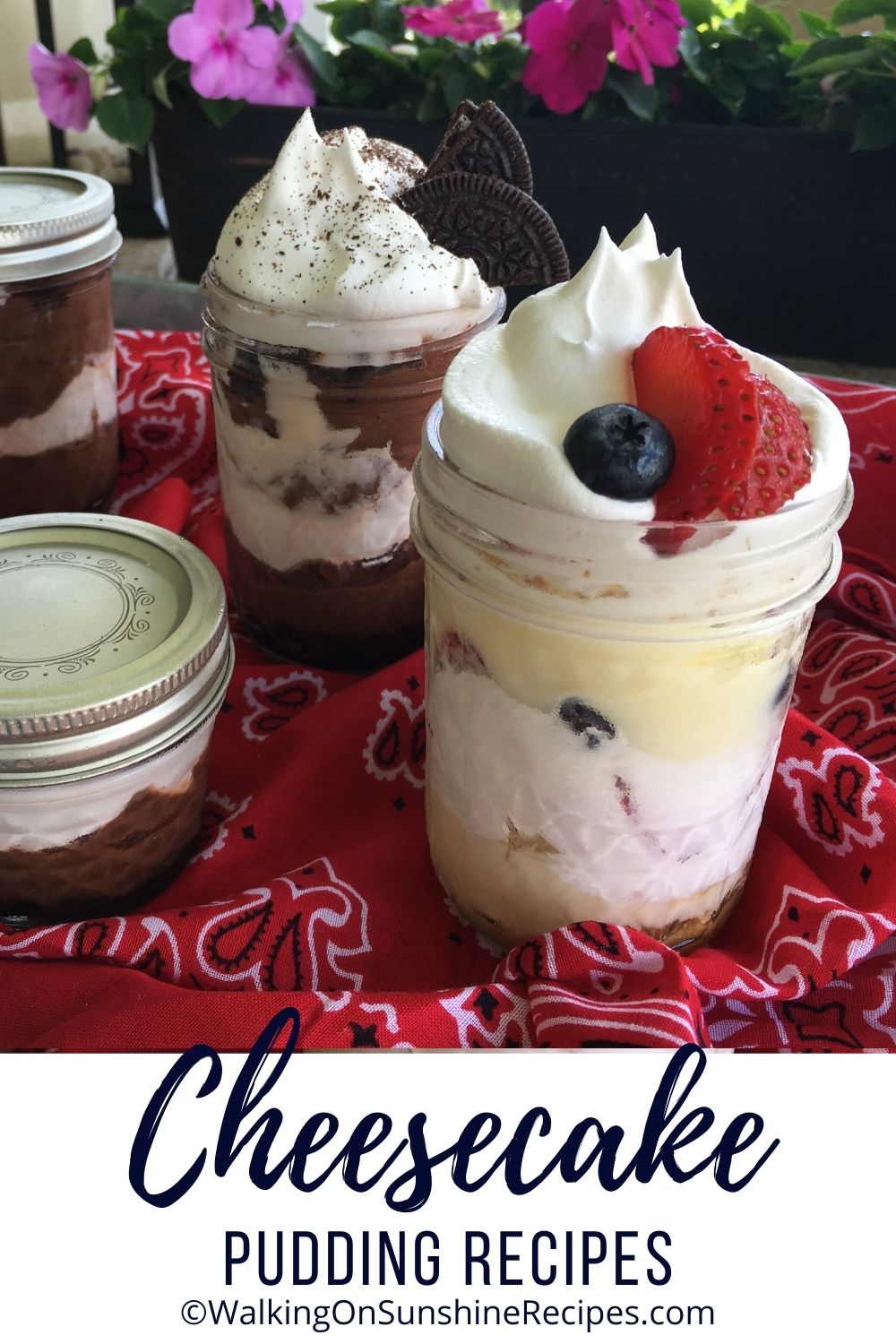 Cheesecake Pudding Recipes | Walking On Sunshine Recipes