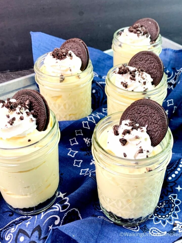 Easy Dessert with Instant Sugar Free Cheesecake Pudding Mix - Walking ...
