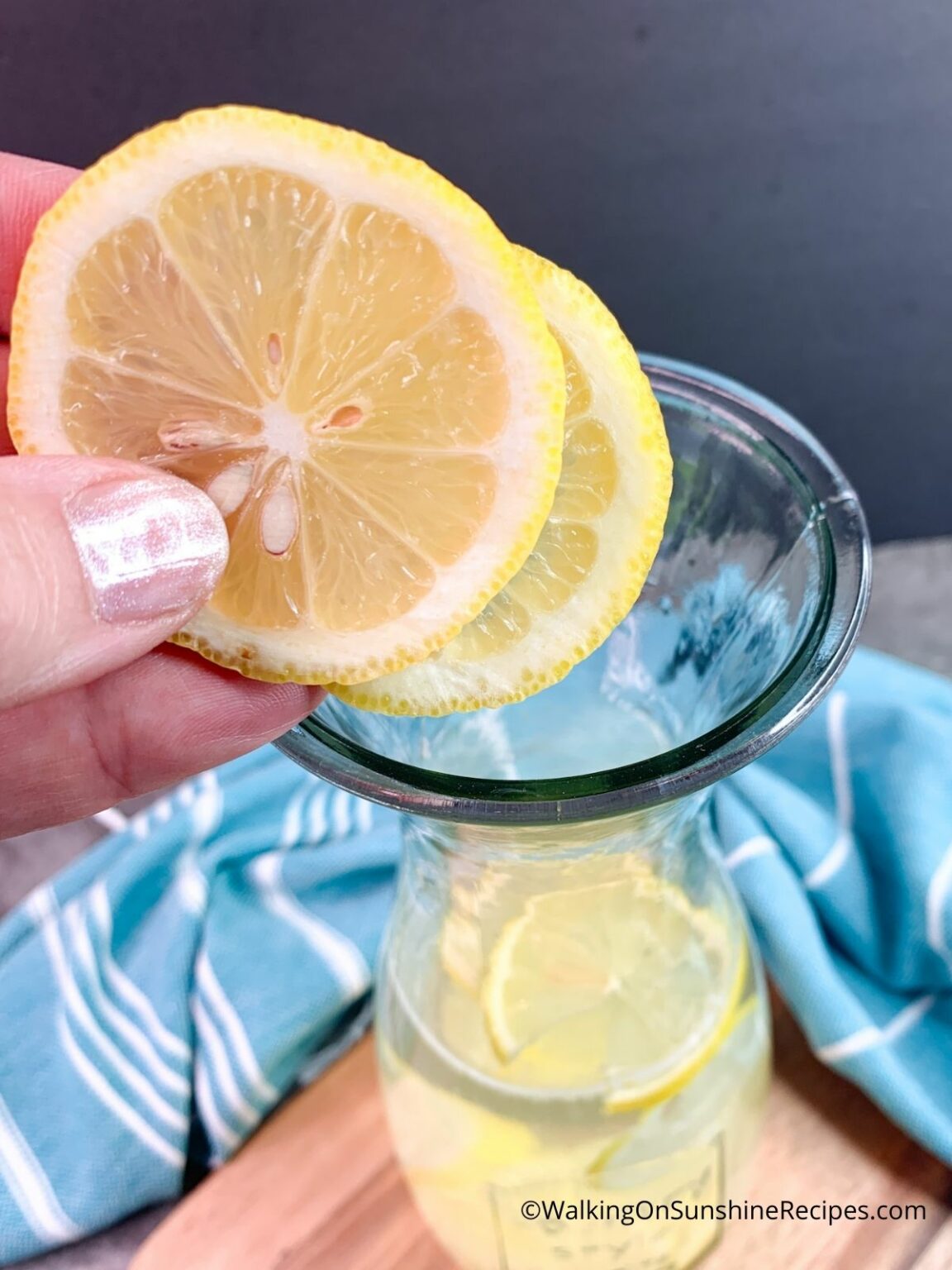 Lemon Mint Sparkling Water - Walking On Sunshine Recipes