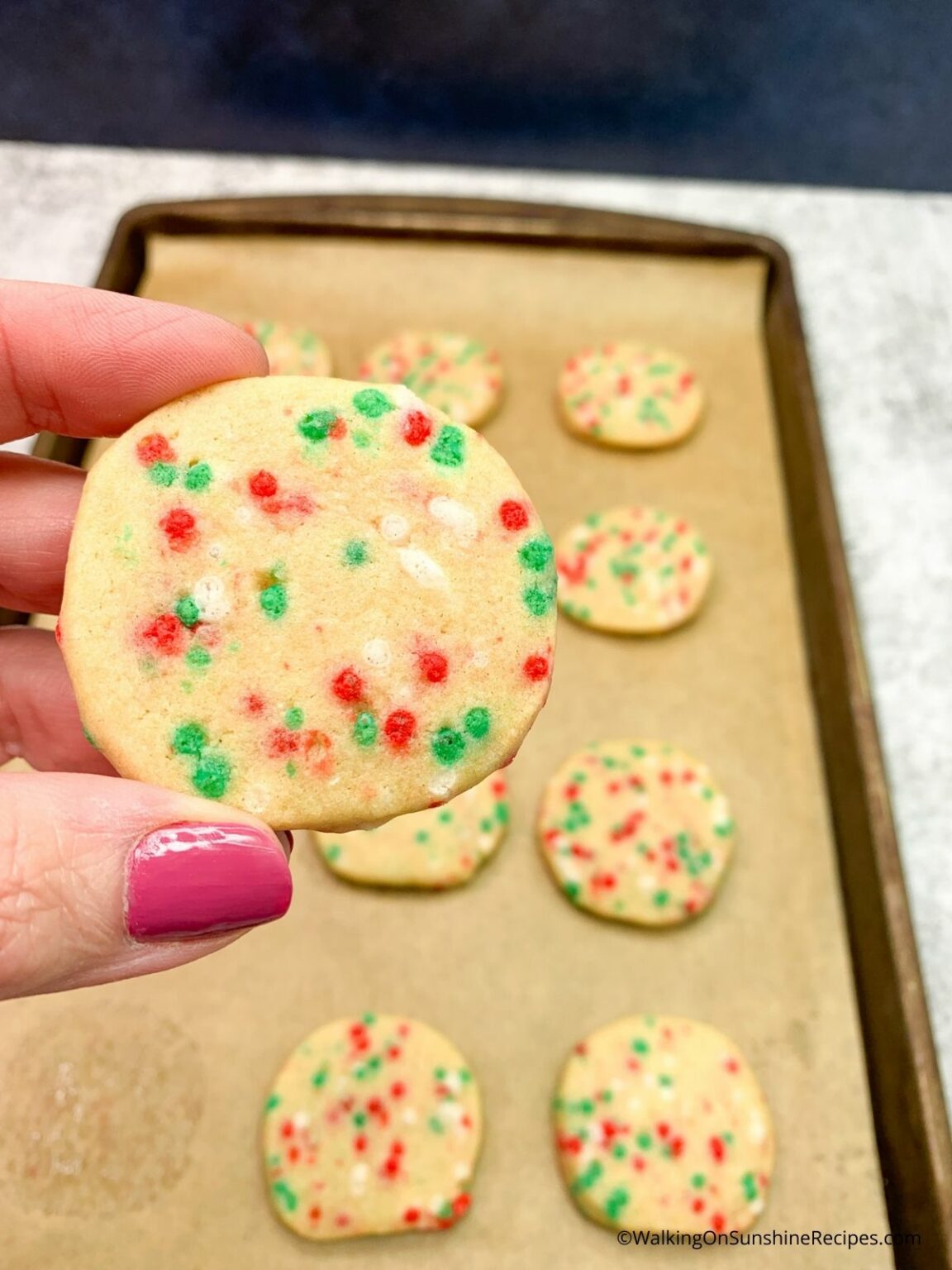 Christmas Refrigerator Cookies - Walking On Sunshine Recipes