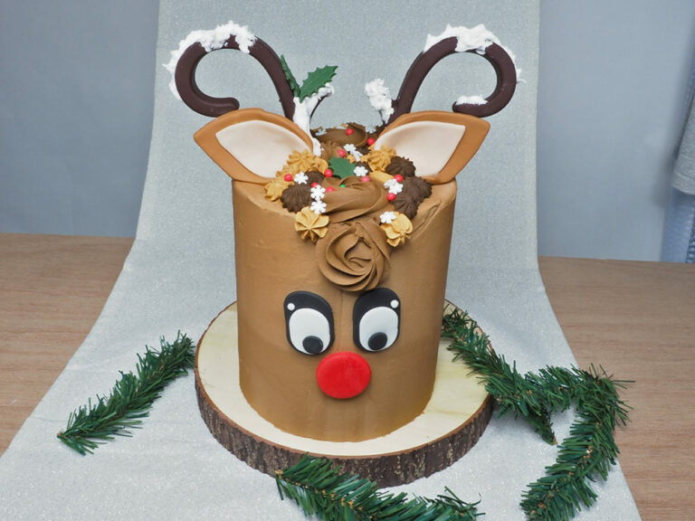 12 Reindeer Cake Ideas - Walking On Sunshine Recipes