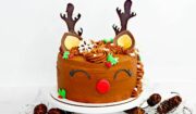 12 Reindeer Cake Ideas - Walking On Sunshine Recipes