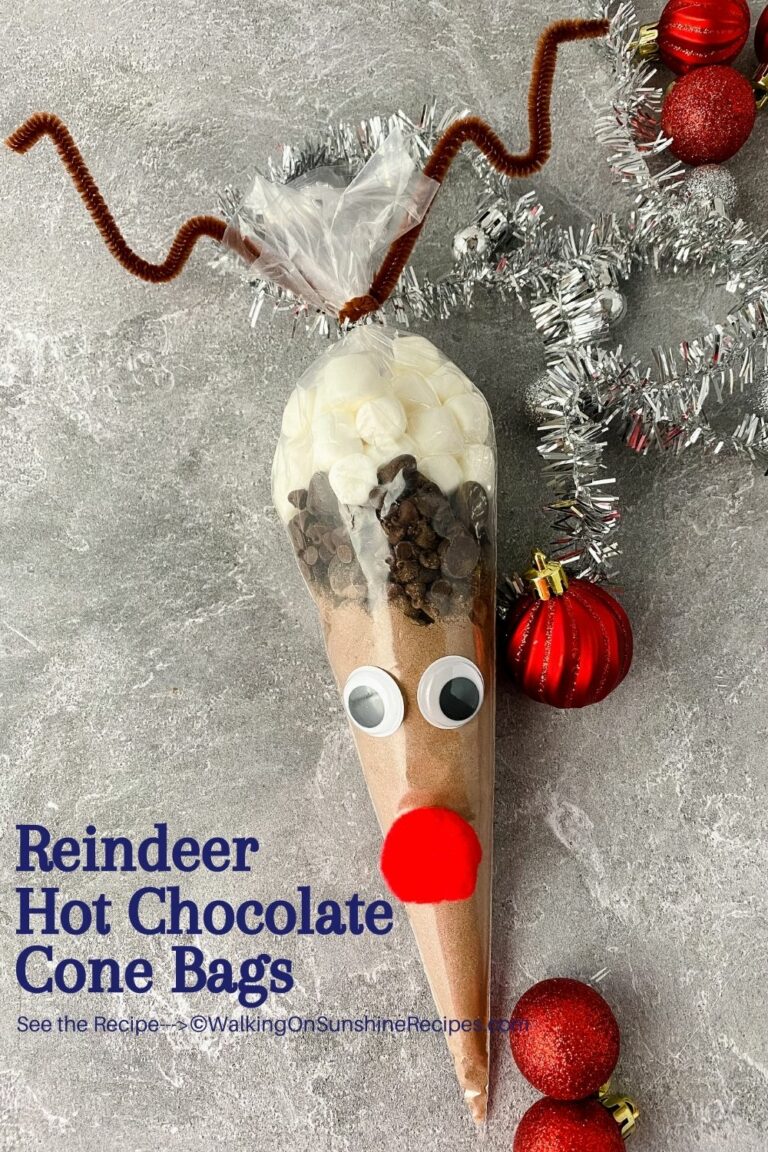 Reindeer Hot Chocolate Cone Bags - Walking on Sunshine