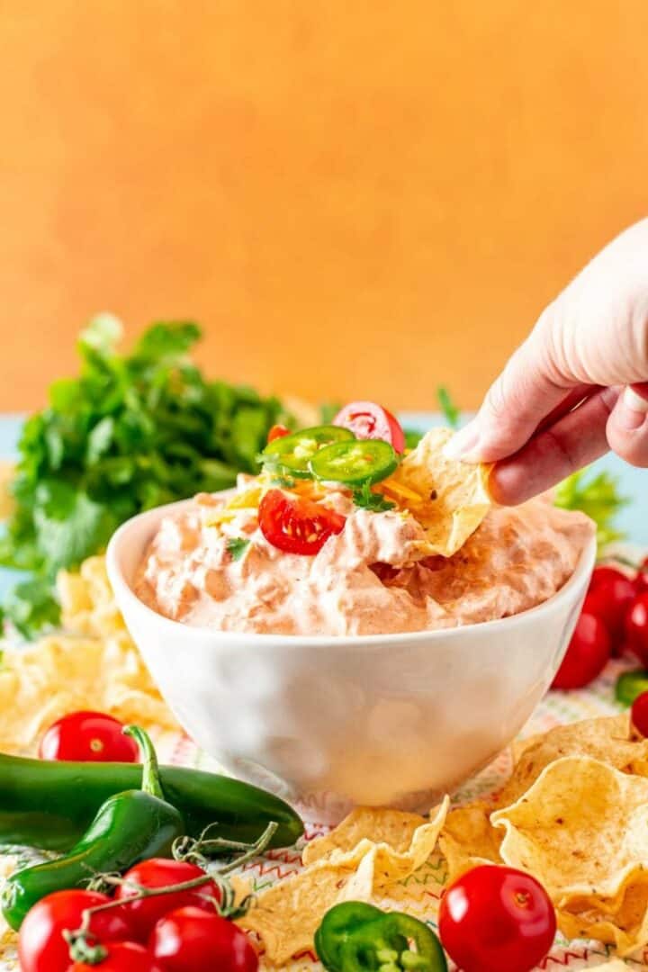 4th of July Dip Recipes - Walking On Sunshine Recipes
