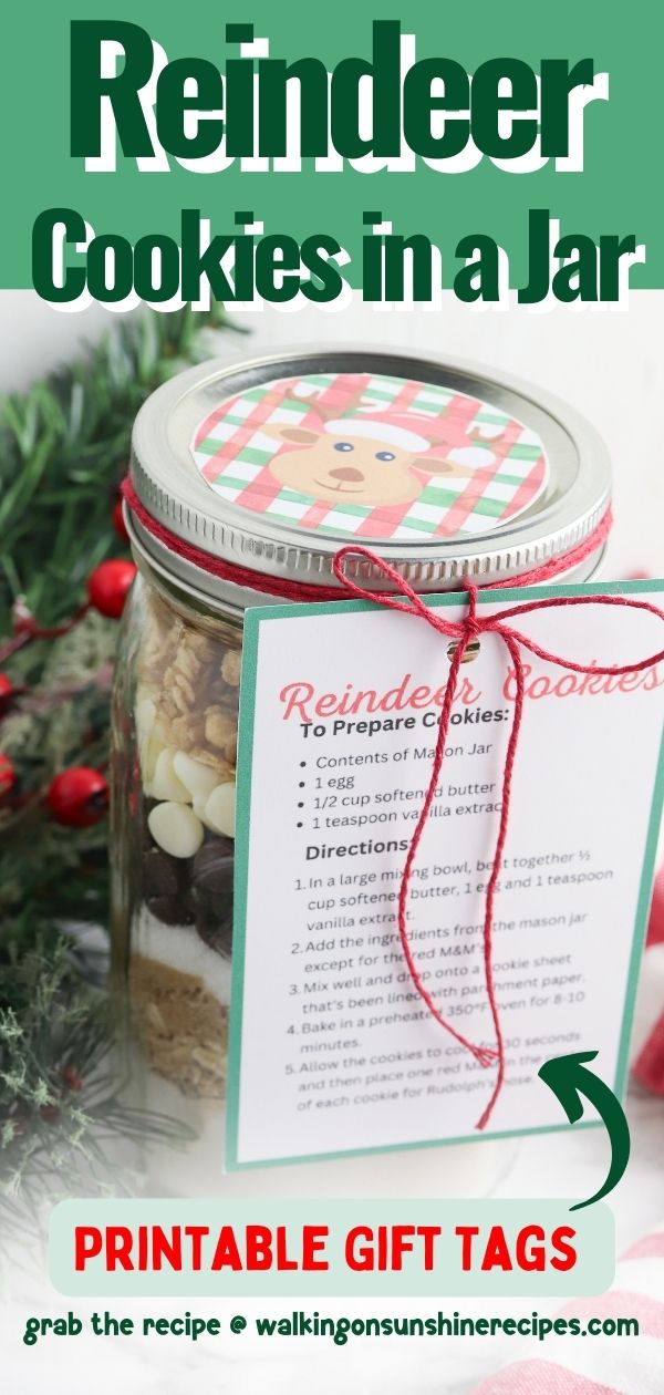 Reindeer Cookies in a Jar - Walking On Sunshine Recipes