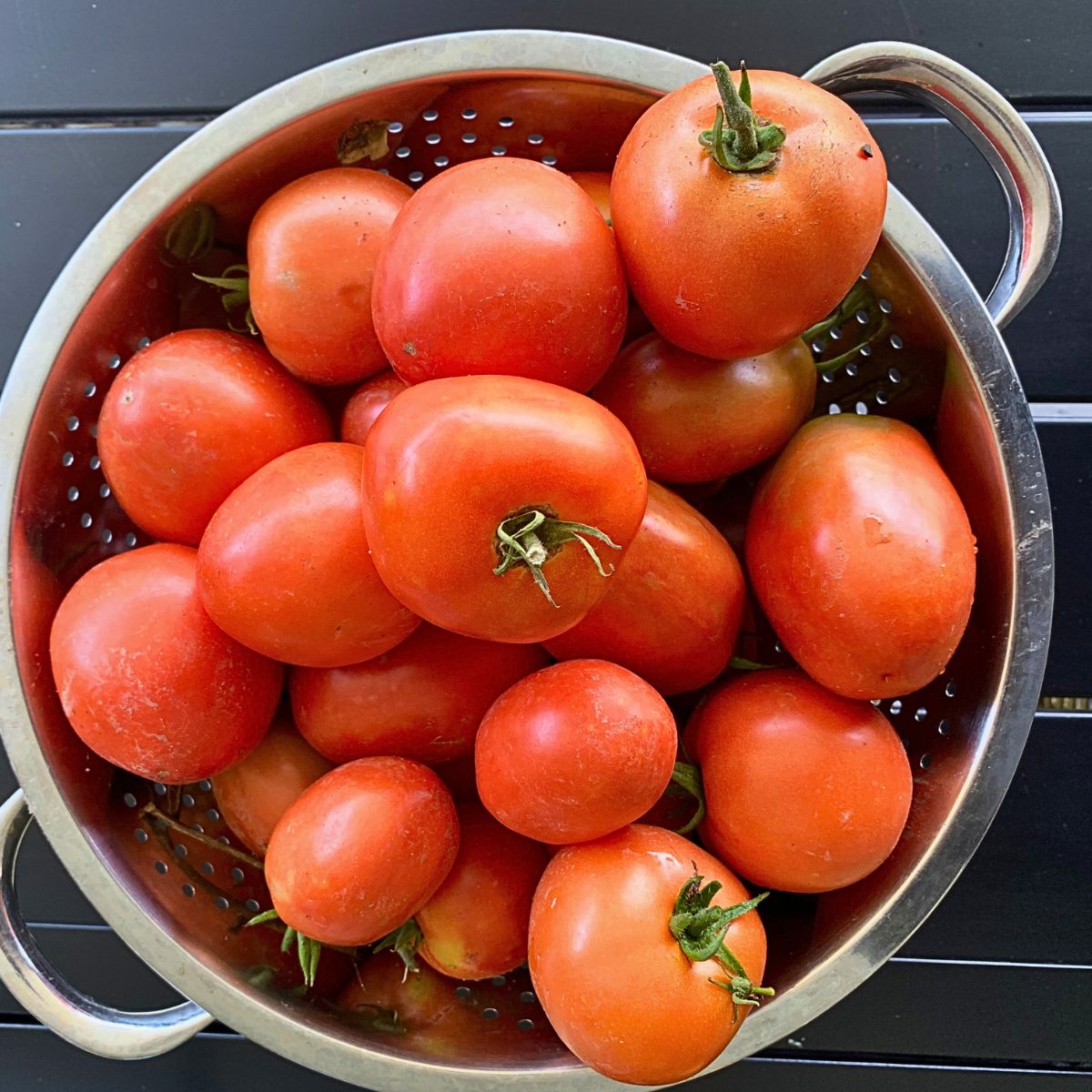 Tips on How to Grow Amazing Tomatoes | Walking on Sunshine