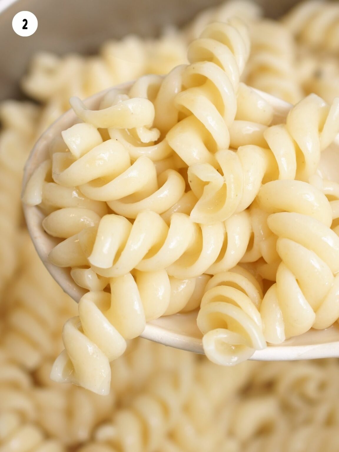 Fresh Tomatoes and Pasta Recipe - Walking On Sunshine Recipes