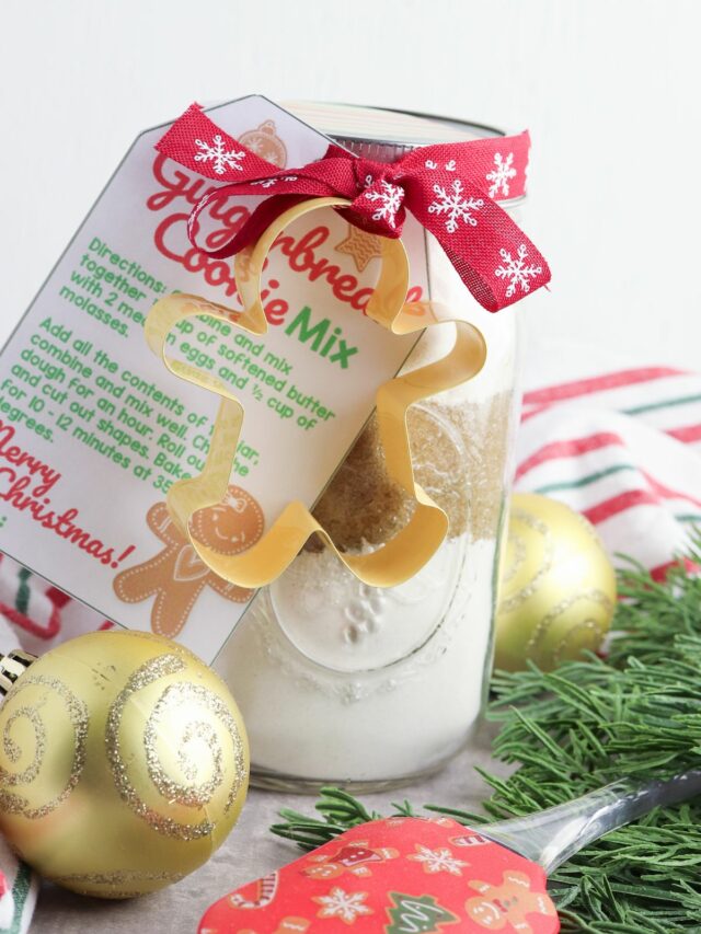 Gingerbread Cookie Mix in a Jar - Walking On Sunshine Recipes