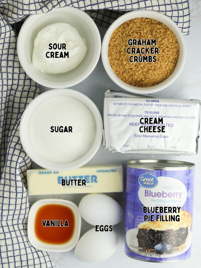 Mini Blueberry Cheesecakes - Walking On Sunshine Recipes