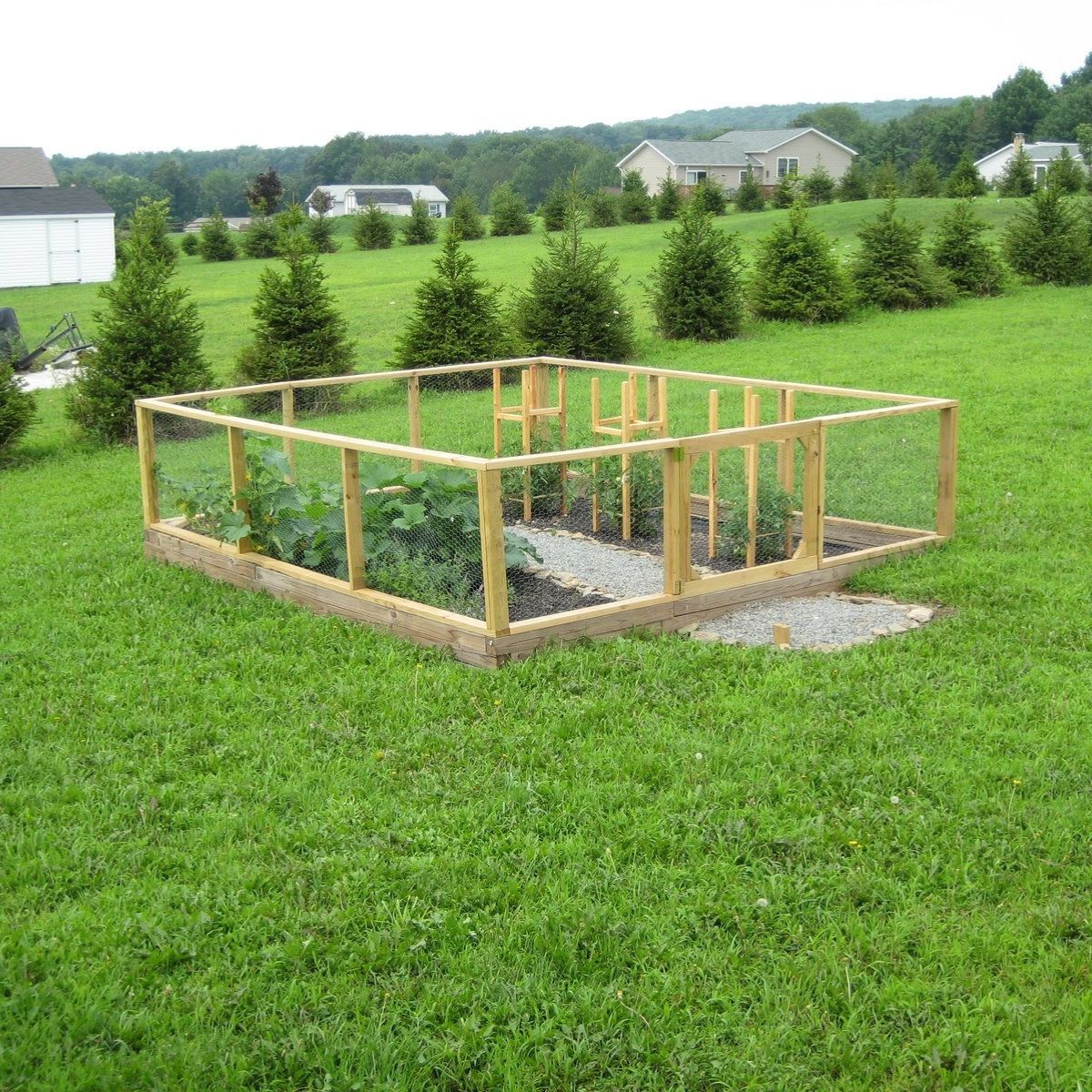 How to Build your First Vegetable Garden