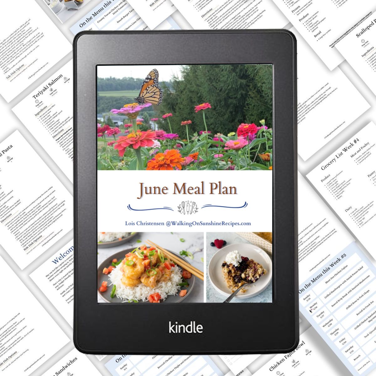 June Meal Plan - Walking On Sunshine Recipes