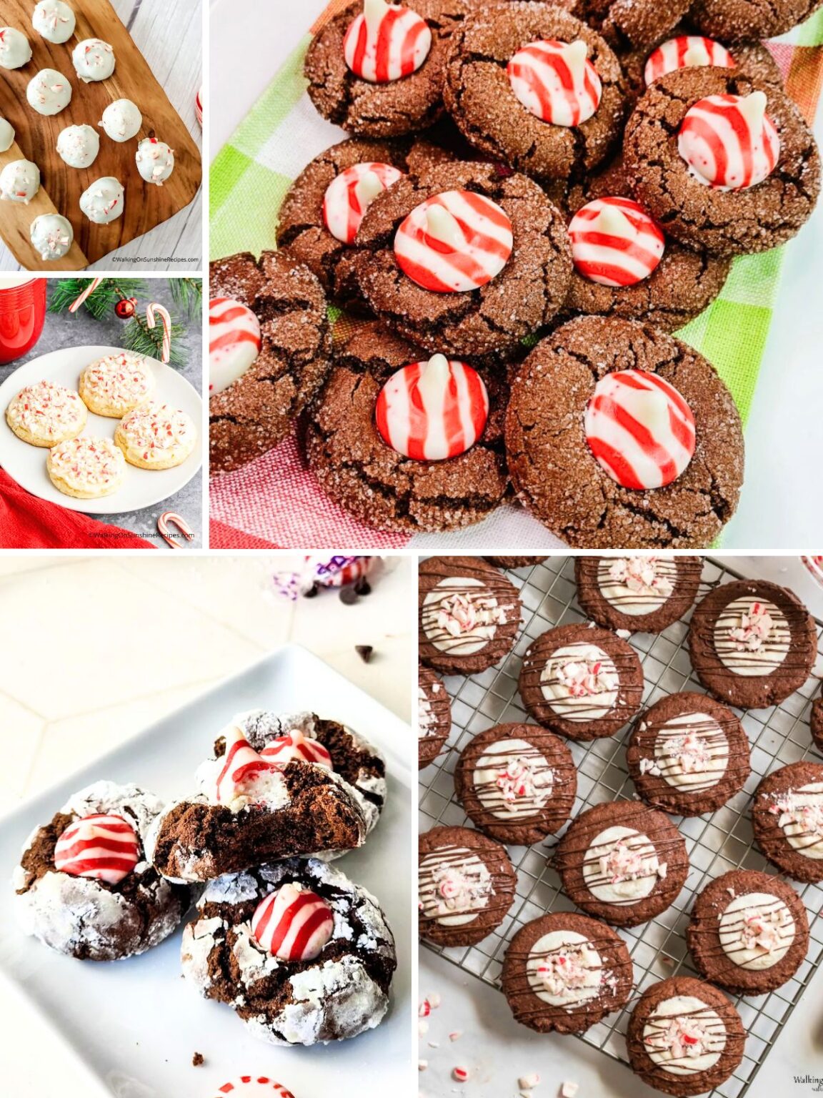 12 Peppermint Christmas Cookie Recipes for Your Holiday Cookie Tray ...